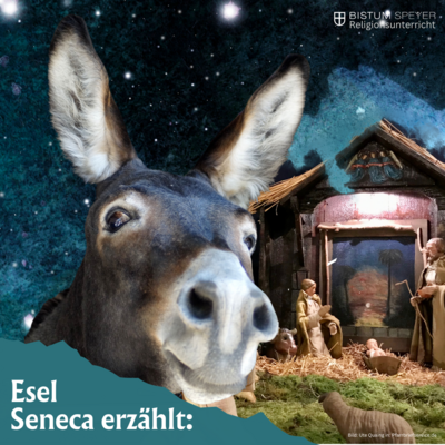 Weihnachten mit Esel Seneca - Unterrichtsmaterialien | Bistum Speyer