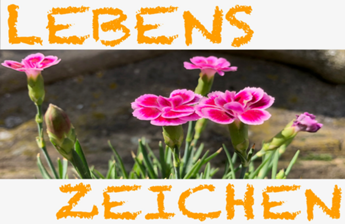 Lebenszeichen-Impulse für Trauernde | Bistum Speyer