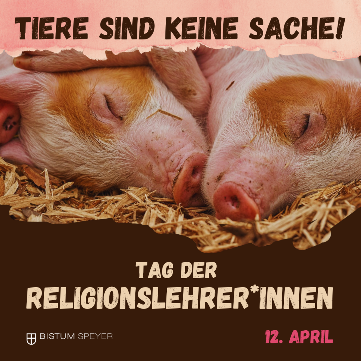 Tierethik - Unterrichtsmaterialien | Bistum Speyer